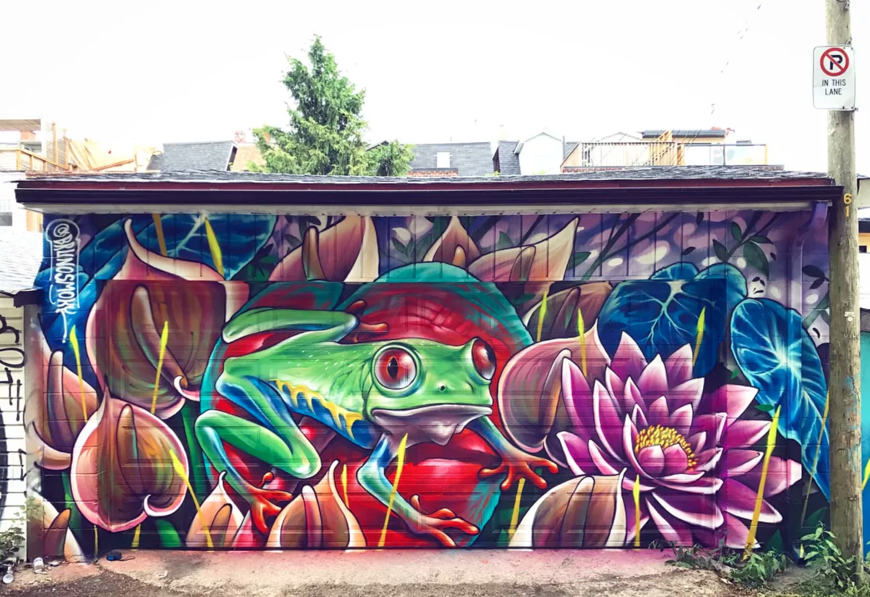 Frog Art: 21 Fun Designs | Wescover Blogs