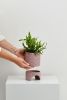 Archie Planter by Capra Designs | Wescover Planters & Vases