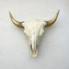 Bison Skull - Natural, Gilded Horns by Farmhaus + Co. | Wescover Wall ...