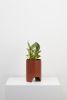 Archie Planter by Capra Designs | Wescover Planters & Vases
