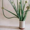 Los Padres Vase by Ritual Ceramics Studio | Wescover Planters & Vases