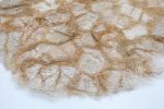 Wild Silk Charger (Pair) - Ceranchia Open by Tanana Madagascar ...