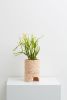 Archie Planter by Capra Designs | Wescover Planters & Vases