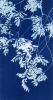 Spring Night 1 (Hand-printed cyanotype, 40 x 24" framed ) by Christine ...