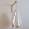 Wall sconce + Prisma shade by Studio Pleat | Wescover Sconces