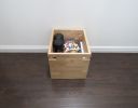 Zuma Para solid wood storage box by Modwerks Furniture Design LLC ...