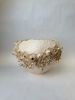 Large barnacle bowl by AA Ceramics & Ligthing | Wescover Decorative Objects