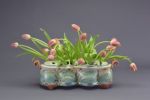 Tulipiere by Pincu Pottery | Wescover Planters & Vases
