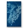 Chinese Elm Triptych (3 Handmade Cyanotypes total 40 x 66") by ...
