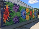 Native Flower Mural by Nick Nortier | Wescover Street Murals