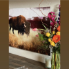 Bison by Suzann Kaltbaum | Wescover Photography