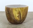 Carved Live Edge Solid Wood Trunk Table ƒ6 by Costantini, Fr by ...